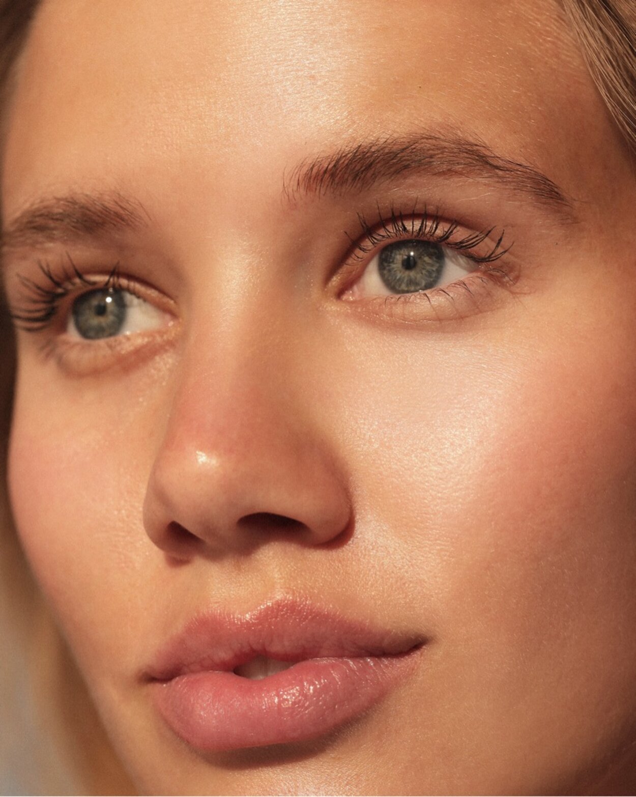 Ceca Zivojinovic - Model Portfolio & Booking - Swipecast